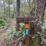 Richloam Wildlife Management Area, Florida - 61 Reviews, Map | AllTrails