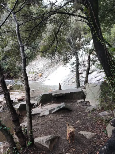 2023 Best Waterfall Trails in Gualba | AllTrails