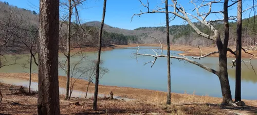 Best Hikes and Trails in Berry College Nature Preserve | AllTrails