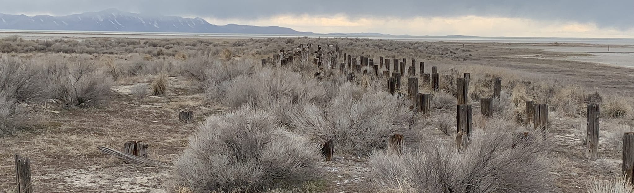 Ruins of Saltair, Utah - 16 Reviews, Map | AllTrails