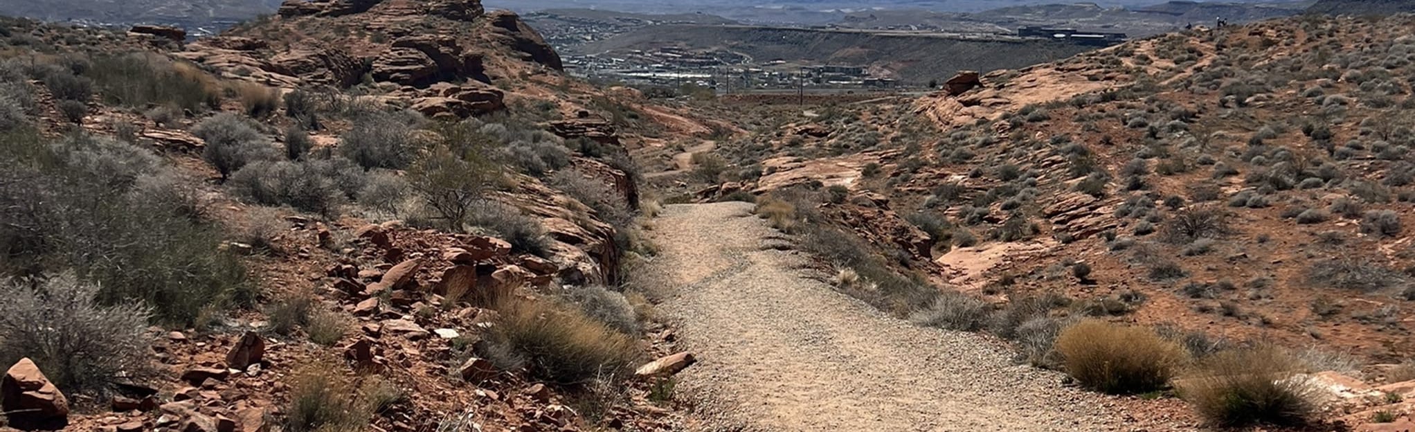 T-Bone Trail, Utah - 180 Reviews, Map | AllTrails