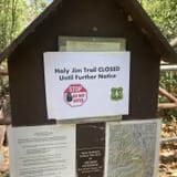 Holy Jim Canyon Trail, California - 410 Reviews, Map | AllTrails