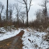 Birdsboro Waters Loop, Pennsylvania - 305 Reviews, Map | AllTrails