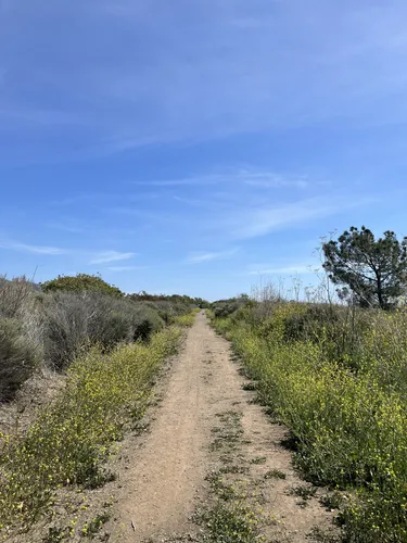 10 Best Trails and Hikes in Oceanside | AllTrails