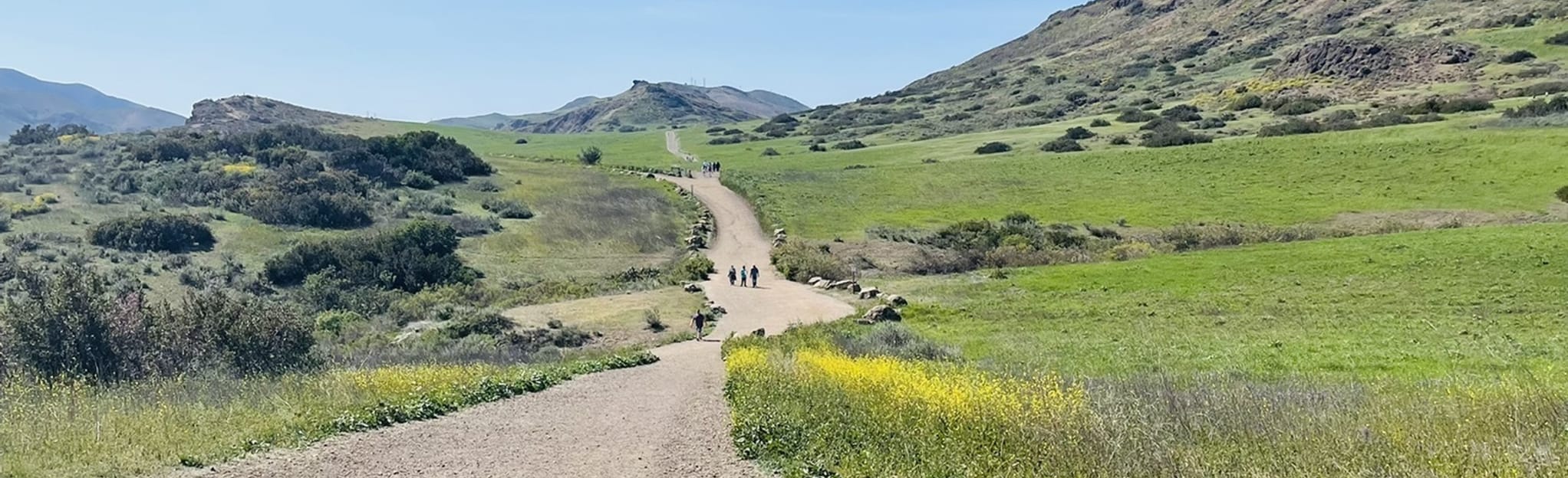 Stagecoach Bluff Loop Trail: 1.270 foto's - Californië | AllTrails