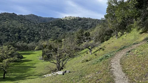 10 Best Dog Friendly Trails in Sunol Wilderness Regional Preserve ...