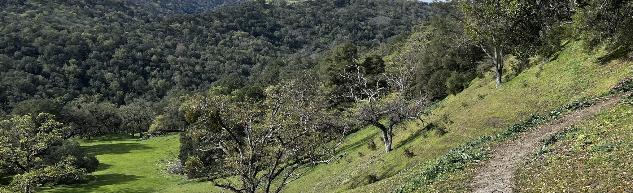 Sunol Regional Park and Maguire Peaks: 3.197 Fotos - Califórnia | AllTrails