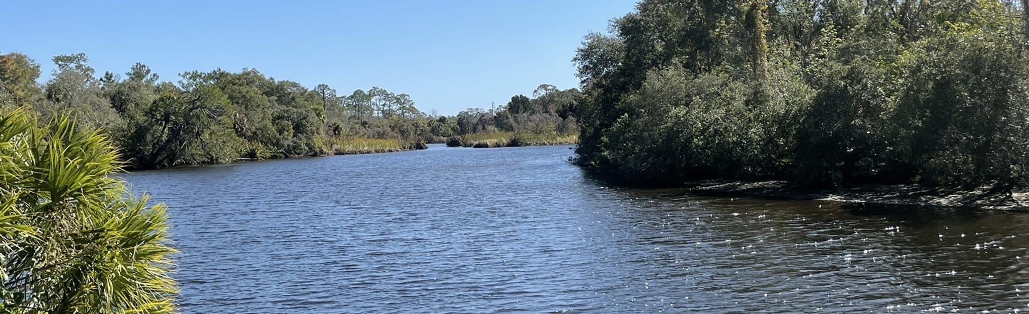 Camp Bayou Paddle Trail : 30 Photos - Floride | Randonnée | AllTrails