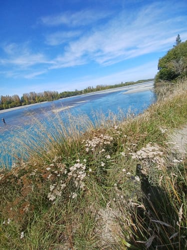 Best Hikes and Trails in Kaiapoi | AllTrails