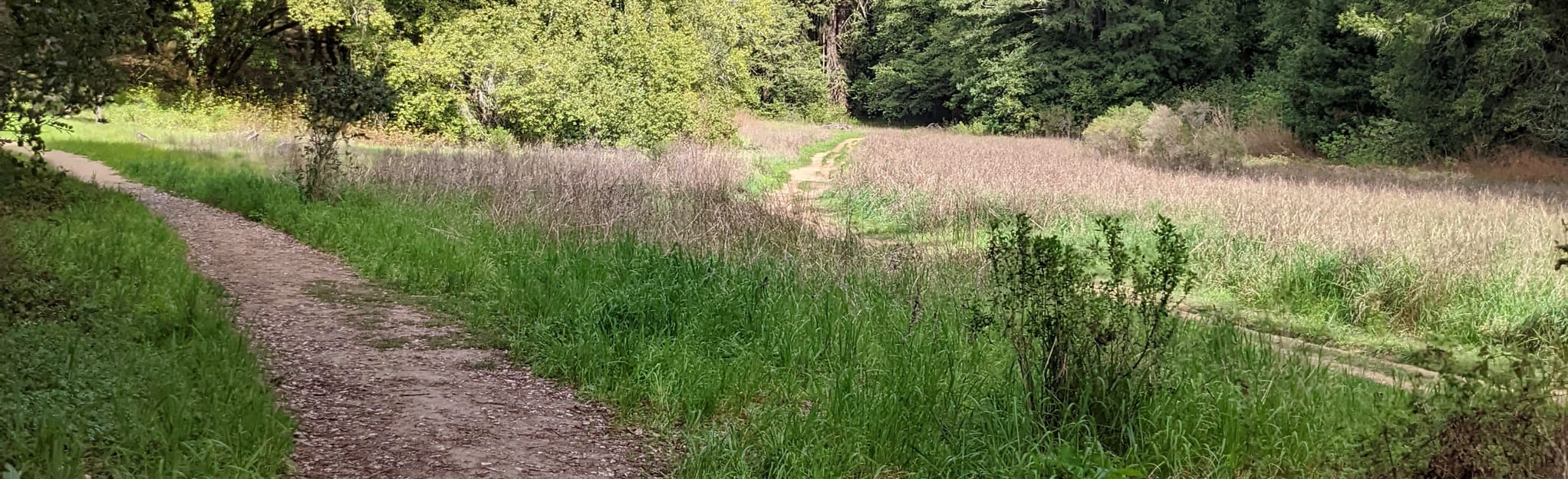 Lucas Valley Cycle Loop: 27 Reviews, Map - California | AllTrails