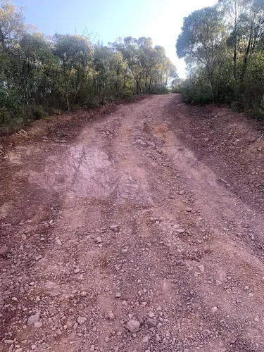 Best Hikes and Trails in Licola | AllTrails