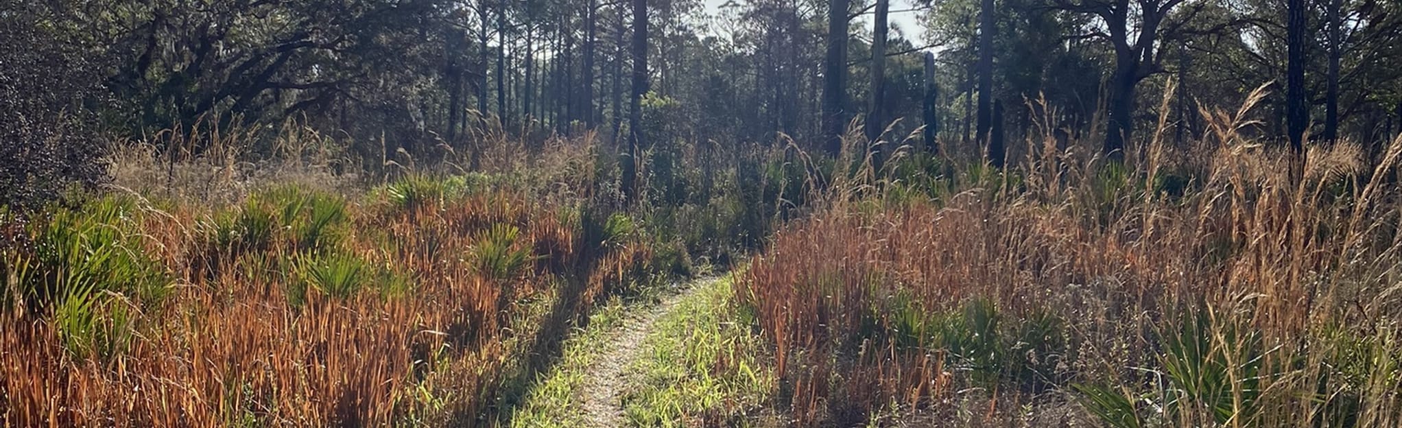 South of The Border Trail, Florida - 81 Reviews, Map | AllTrails