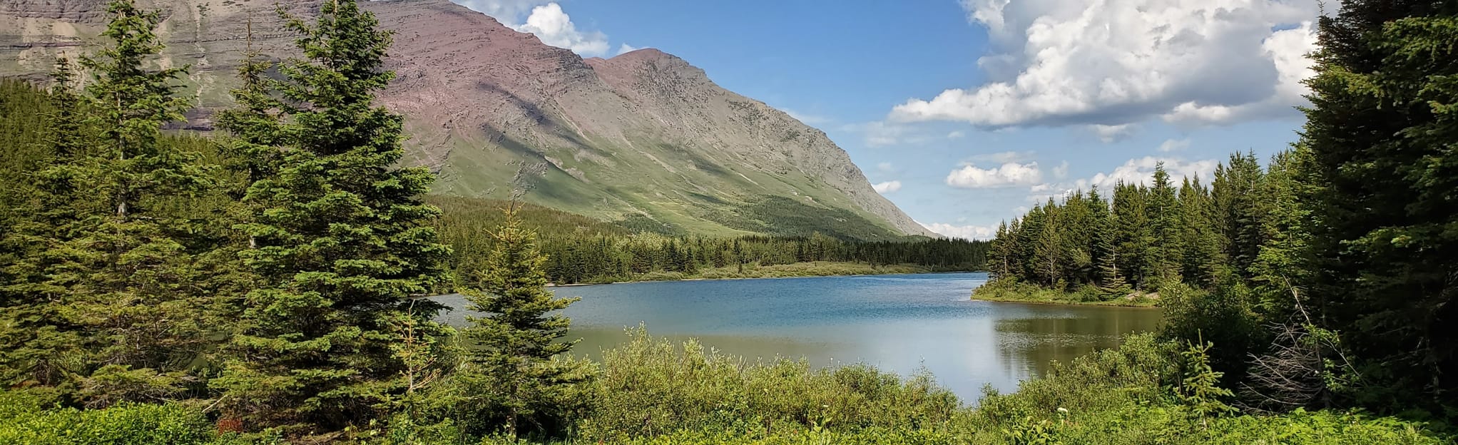 Swiftcurrent Pass, Montana - 214 Reviews, Map | AllTrails