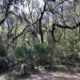 Cannon’s Point Preserve, Georgia - 126 Reviews, Map | AllTrails