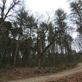 Quabbin Reservoir via Gate 40, Massachusetts - 204 Reviews, Map | AllTrails