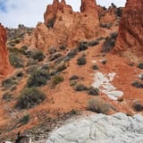Red Rock Trail , California - 84 Reviews, Map | AllTrails