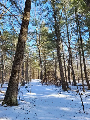 Best Hikes and Trails in Sand Ridge State Forest | AllTrails