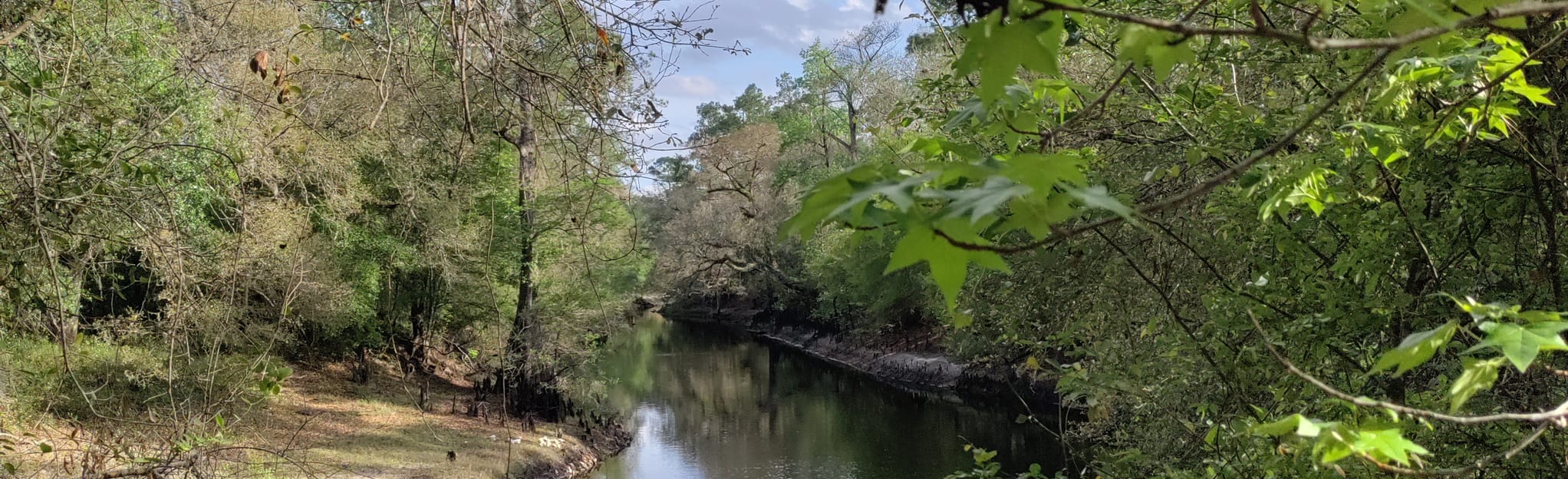 Croom River Trail Loop: 114 Reviews, Map - Florida | AllTrails