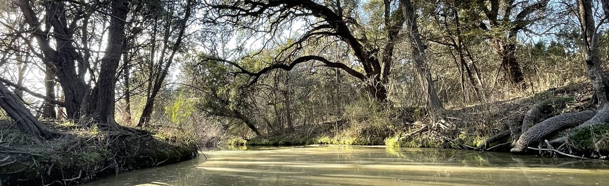 Mary Moore Searight Park Metro Trail, Texas - 1,831 Reviews, Map ...