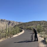 Cactus Forest Loop Drive, Arizona - 354 Reviews, Map | AllTrails