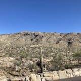 Cactus Forest Loop Drive, Arizona - 354 Reviews, Map | AllTrails
