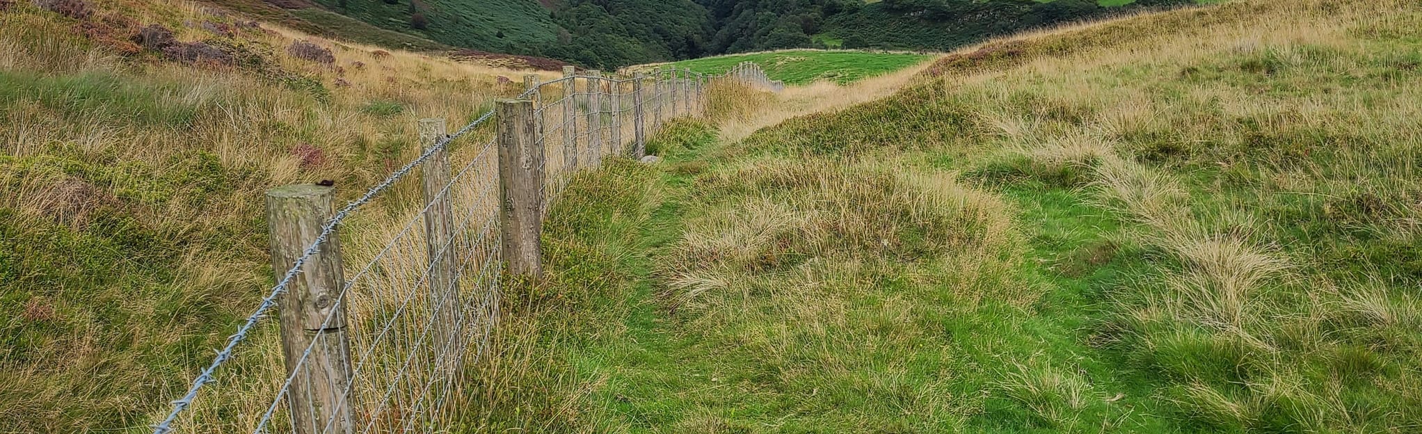 Ponterwyd to Goginan: 2 Reviews, Map - Ceredigion, Wales | AllTrails