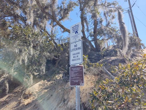 Best Hikes and Trails in Sandy Island Preserve | AllTrails