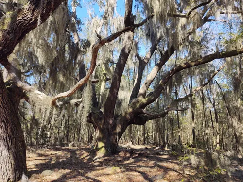 Best Hikes and Trails in Sandy Island Preserve | AllTrails