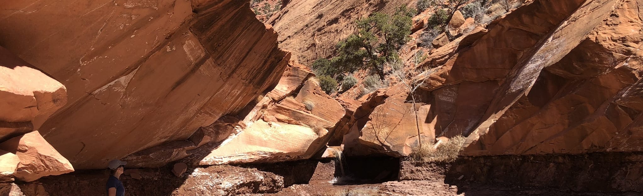 Upper Gulch, Utah - 27 Reviews, Map | AllTrails