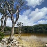 Poona Lake, Queensland, Australia - 73 Reviews, Map | AllTrails