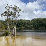 Poona Lake, Queensland, Australia - 73 Reviews, Map | AllTrails