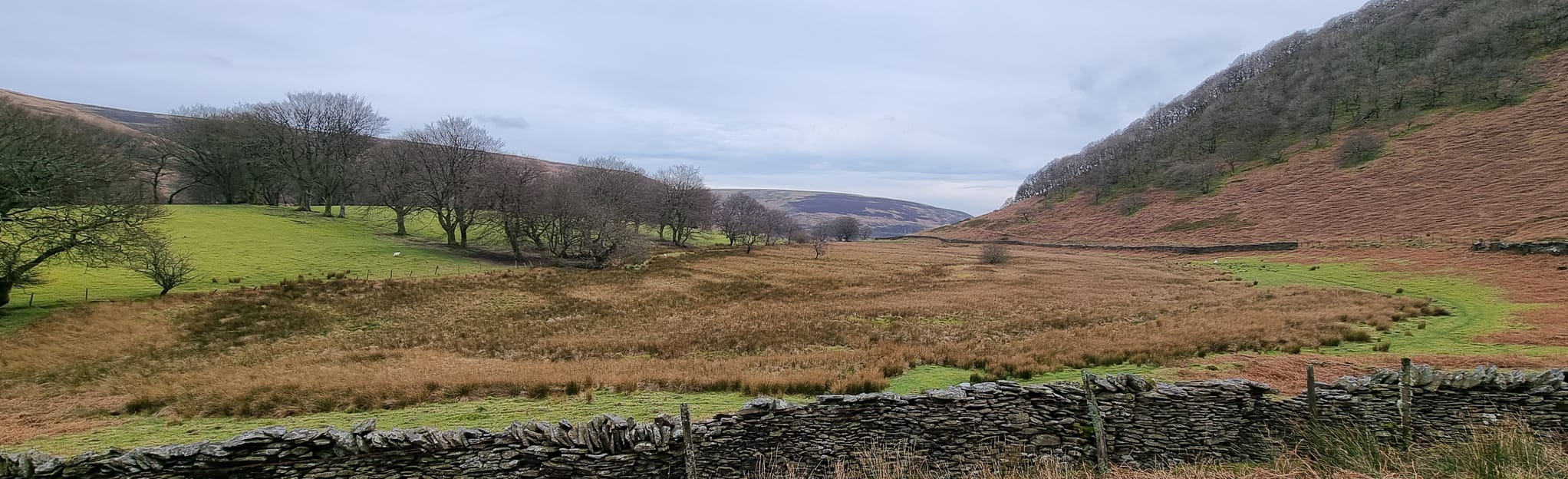 Cwmtillery Circular: 88 Reviews, Map - Blaenau Gwent, Wales | AllTrails