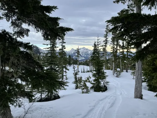 Best Hikes and Trails in Mount Cain Alpine Park | AllTrails