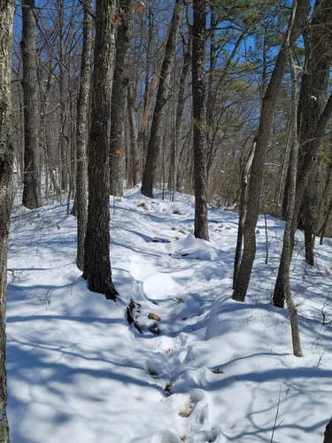 10 Best Hikes and Trails in Kanawha State Forest | AllTrails