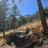 Chamberlain, South Cañon, and Lower Chamberlain Trail, Colorado - 179 ...