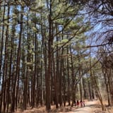 Sequoyah State Park Paved Trail, Oklahoma - 198 Reviews, Map | AllTrails