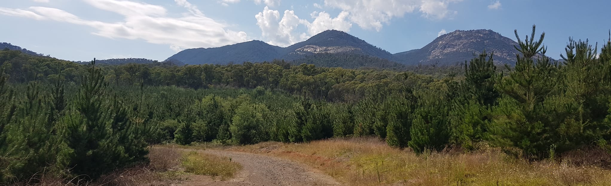 Picnic loop to Lake Buffalo: 13 foto's - Victoria, Australië | AllTrails