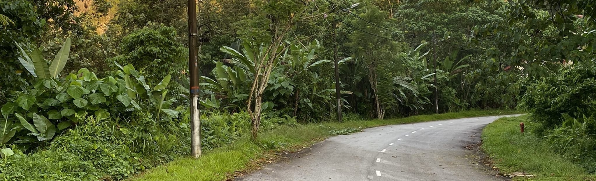 Bukit Takun, Selangor, Malaysia - 7 Reviews, Map | AllTrails