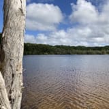 Poona Lake, Queensland, Australia - 73 Reviews, Map | AllTrails
