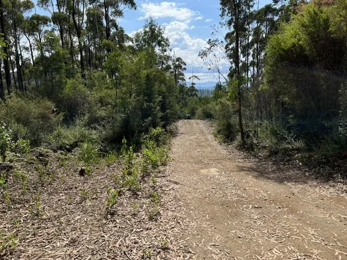 Best Hikes and Trails in Labertouche Cave Geological Reserve | AllTrails