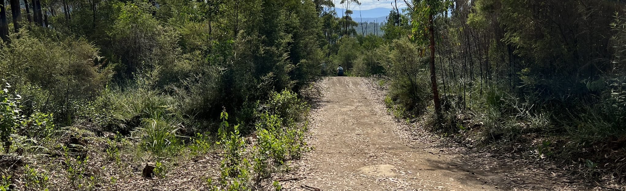 Labertouche Caves via South Hells Gate Circuit : 81 photos - Victoria ...