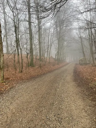 10 Best Trails and Hikes in Hinnerup | AllTrails