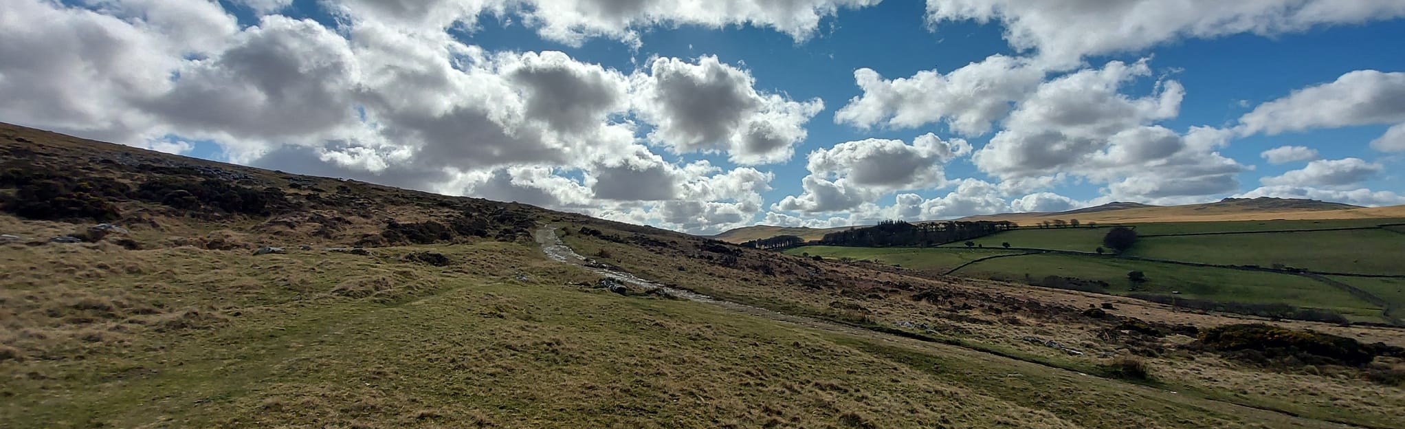 Okehampton to Belstone Tor: 58 Reviews, Map - Devon, England | AllTrails