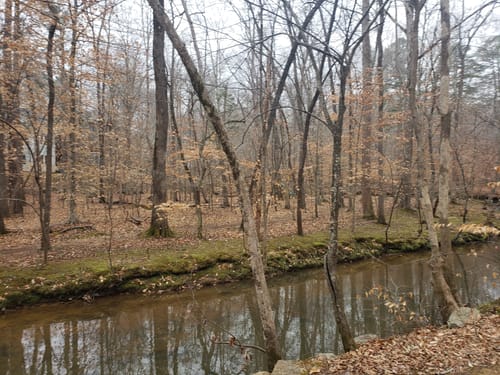 Best Hikes and Trails in Wilson Park | AllTrails