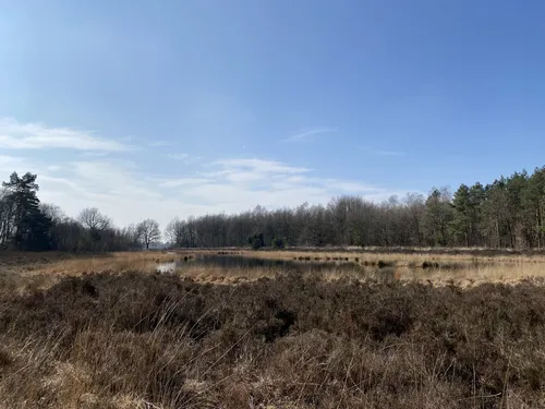 10 Best Backpacking Trails in Drentsche Aa National Park | AllTrails