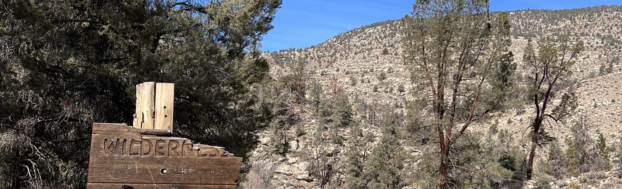 Long Valley Trail: 18 Reviews, Map - California | AllTrails