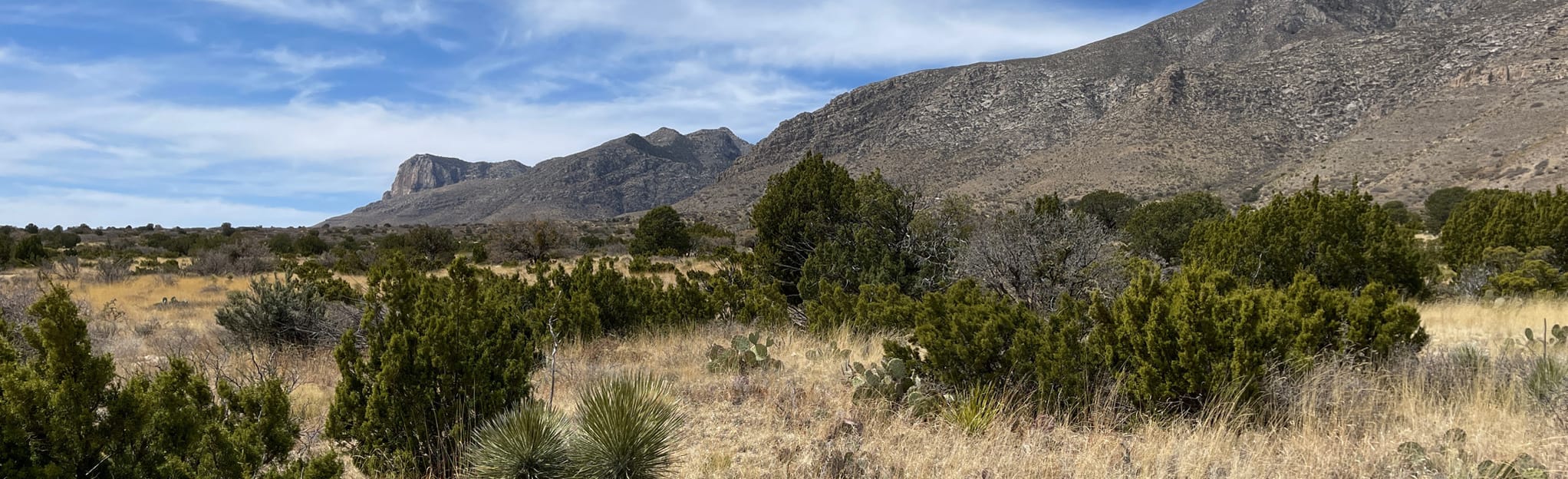 Smith Spring and Manzanita Spring Loop, Texas - 1,179 Reviews, Map ...