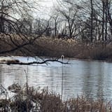 Assunpink Wildlife Management Area Trails, New Jersey - 185 Reviews ...