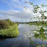 Largo Nature Preserve Loop, Florida - 330 Reviews, Map | AllTrails