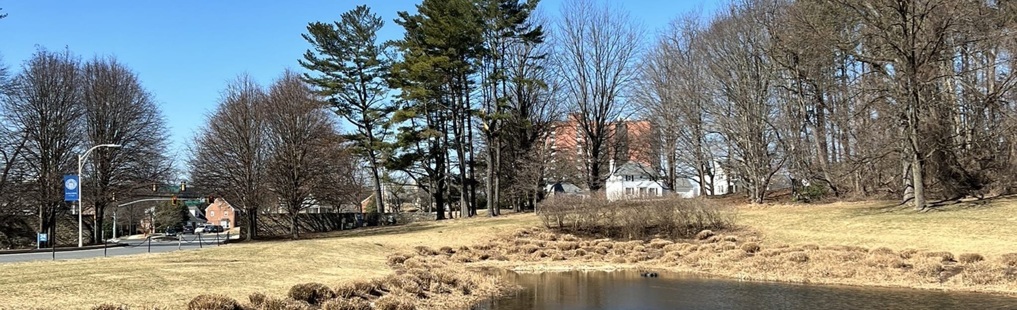 Goucher College Campus Loop, Maryland - 95 Reviews, Map | AllTrails
